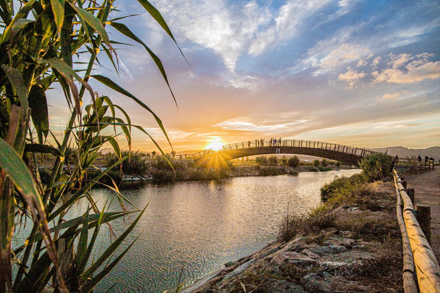 Descubre Moncofa | Portal Turismo de Moncofa Oficial