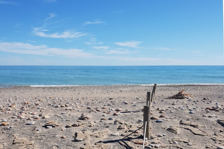 Playas de Moncofa | Portal de Turismo de Moncofa Oficial